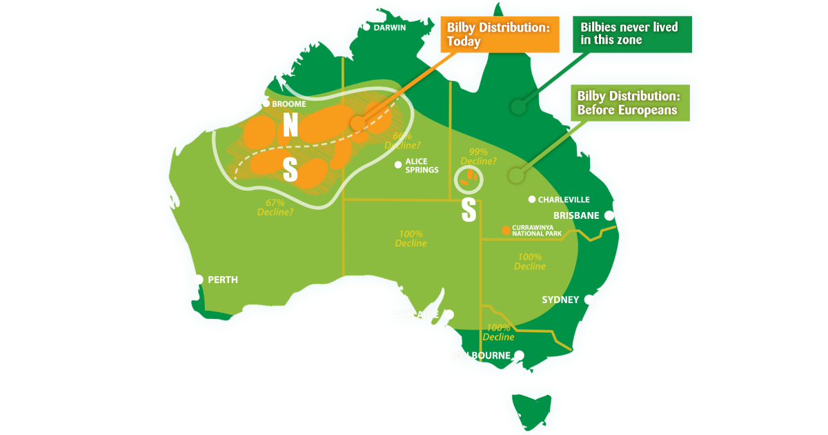Bilbies translocated from Currawinya National Park to Great Sandy ...
