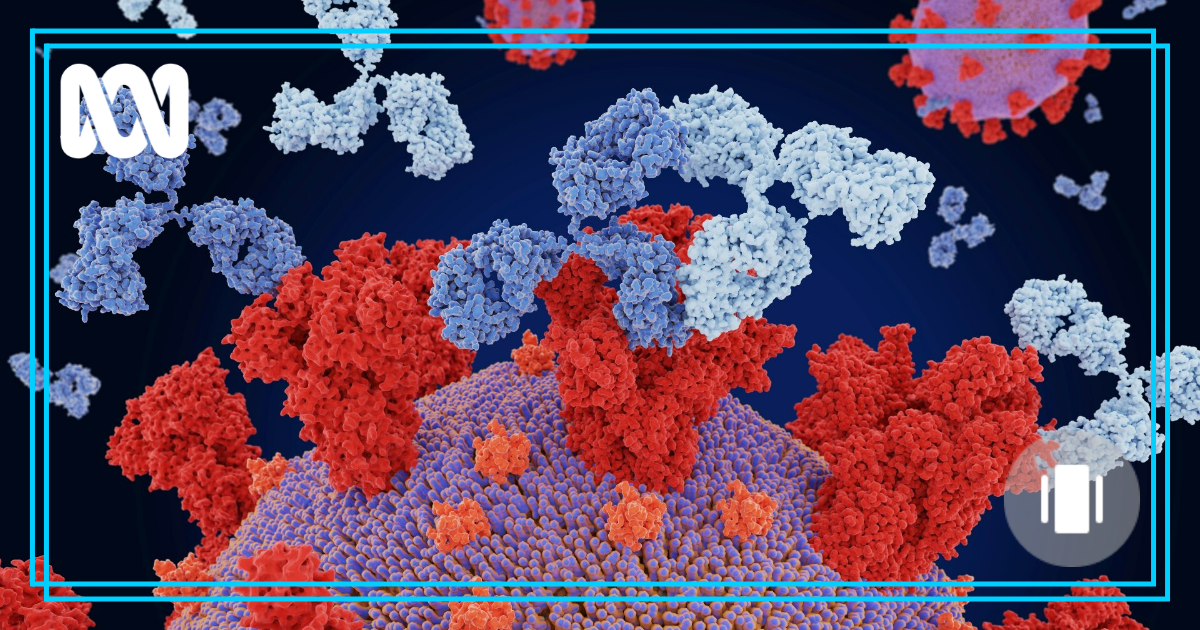 How can I tell if I've had COVID? - ABC News