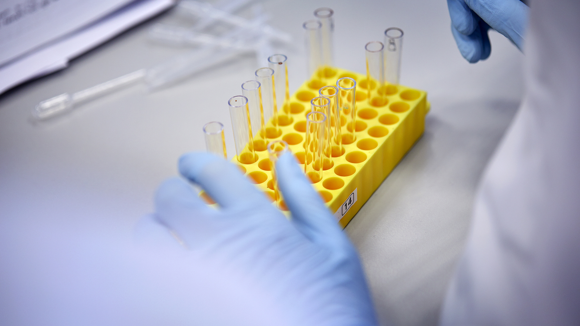Pioneering with world-leading research - Springpod