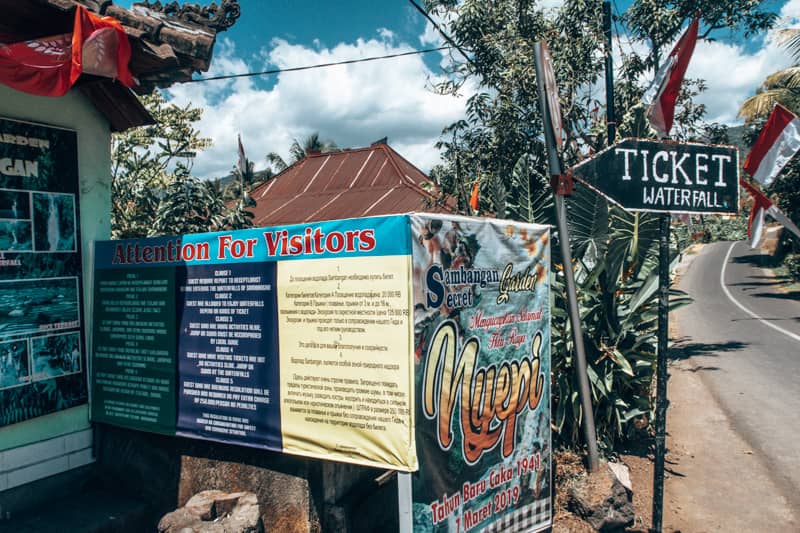 The Ultimate Guide To Visiting Aling Aling Waterfall, Bali - Dream Big ...